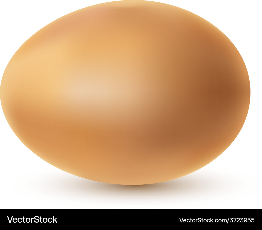 Egg Royalty Free Vector Image - VectorStock