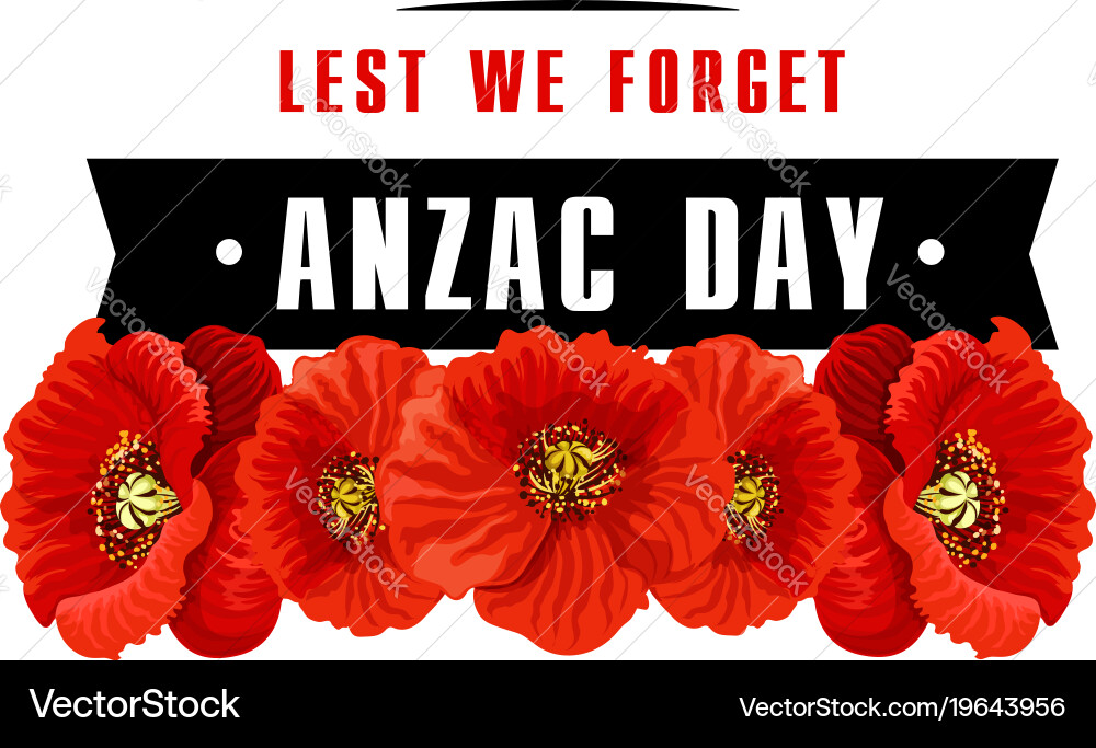 Anzac Poppy Remembrance Day Royalty Free Vector Image