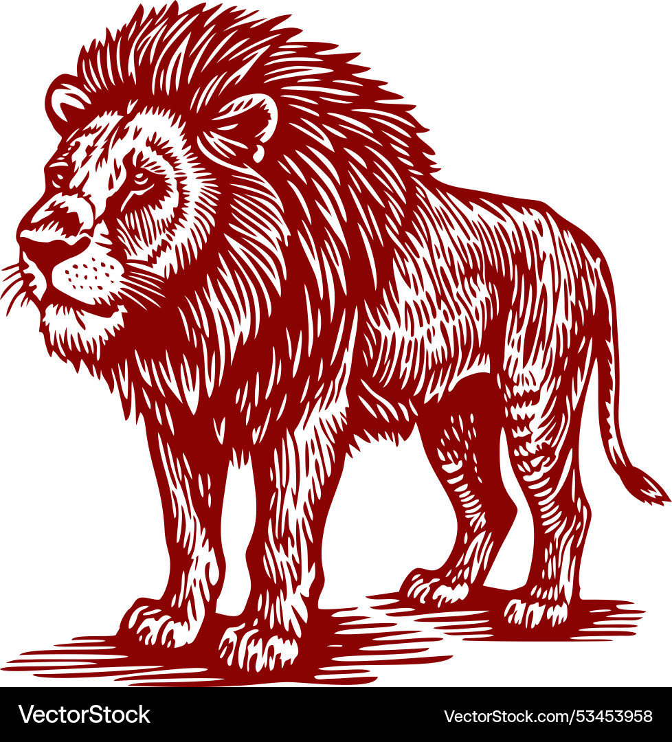 Beautiful classic hand drawing lion Royalty Free Vector
