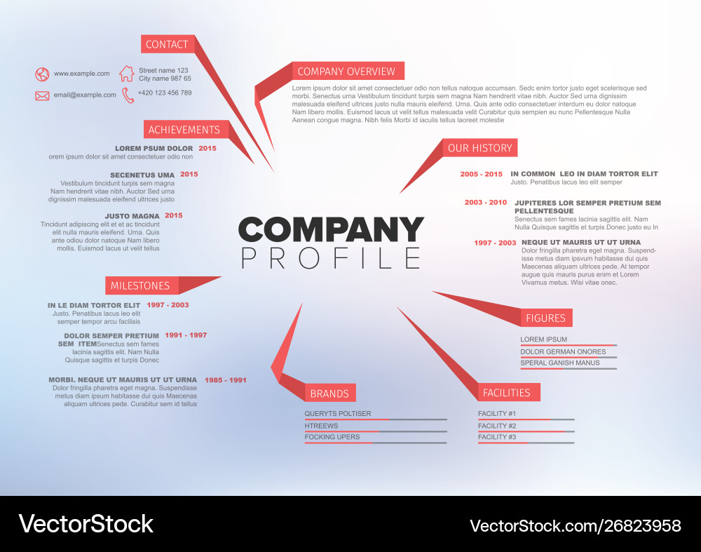 Company infographic overview design template Vector Image