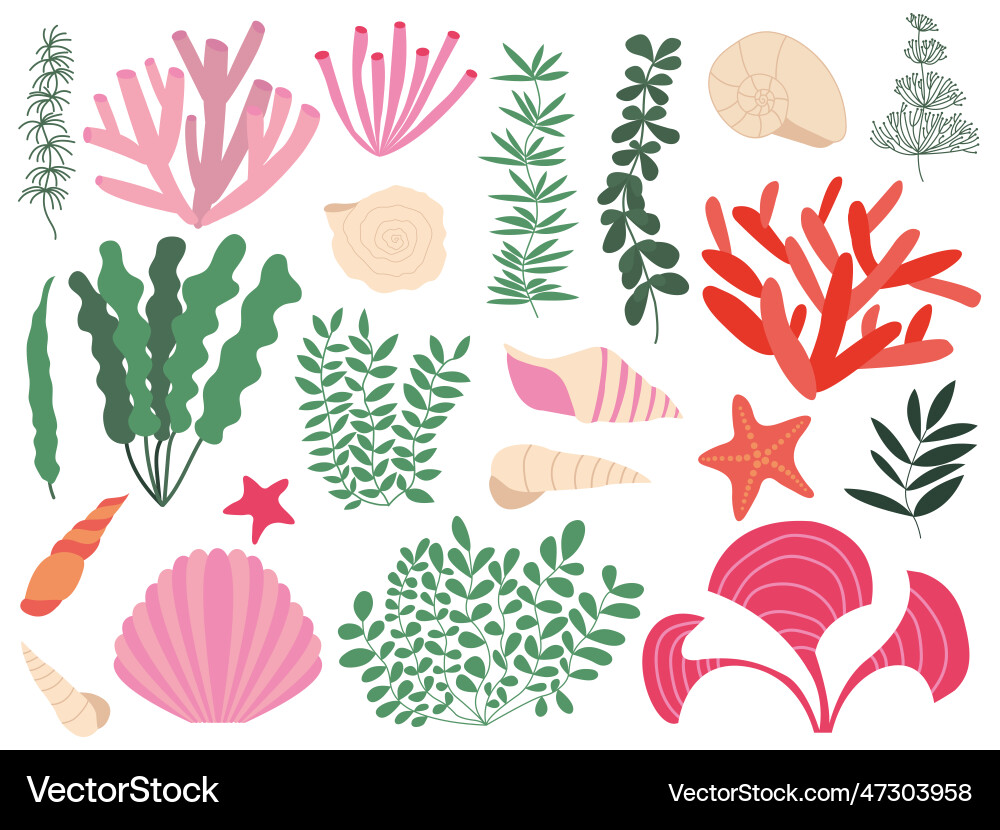 Underwater Seaweed & Coral Collection Vector Image