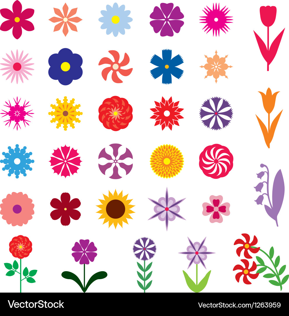 Flower color Royalty Free Vector Image - VectorStock