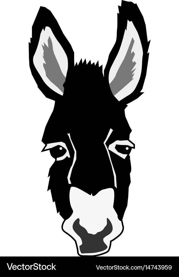 Portrait of donkey Royalty Free Vector Image - VectorStock