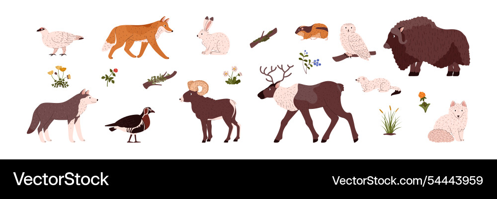 Tundra arctic animals birds and plants set flat Vector Image