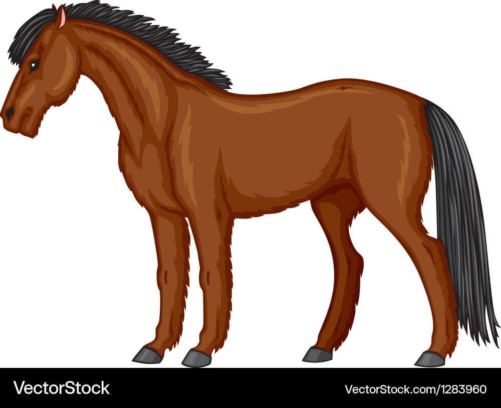 Pony Royalty Free Vector Image - VectorStock