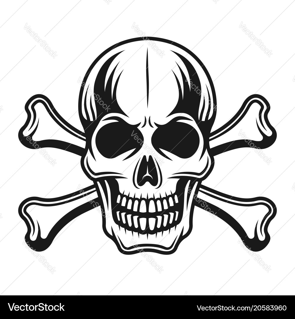 Skull with crossbones detailed Royalty Free Vector Image