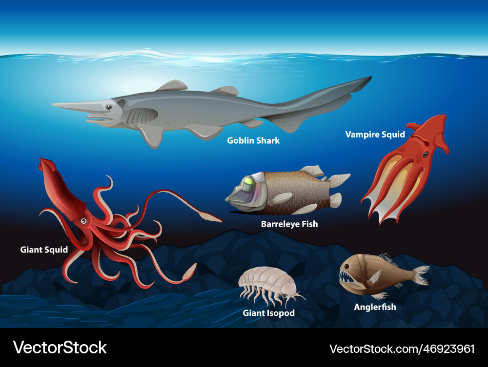 Clipart Ocean Creatures