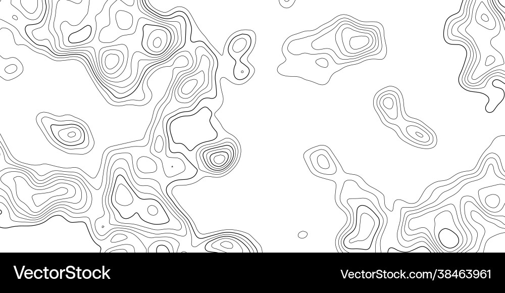 Retro topographic map great design for any Vector Image