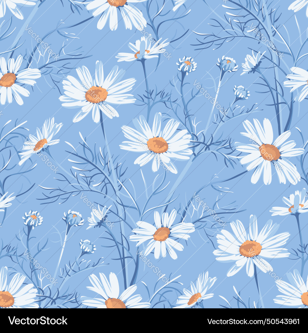 Seamless daisy pattern white flowers - chamomilla Vector Image