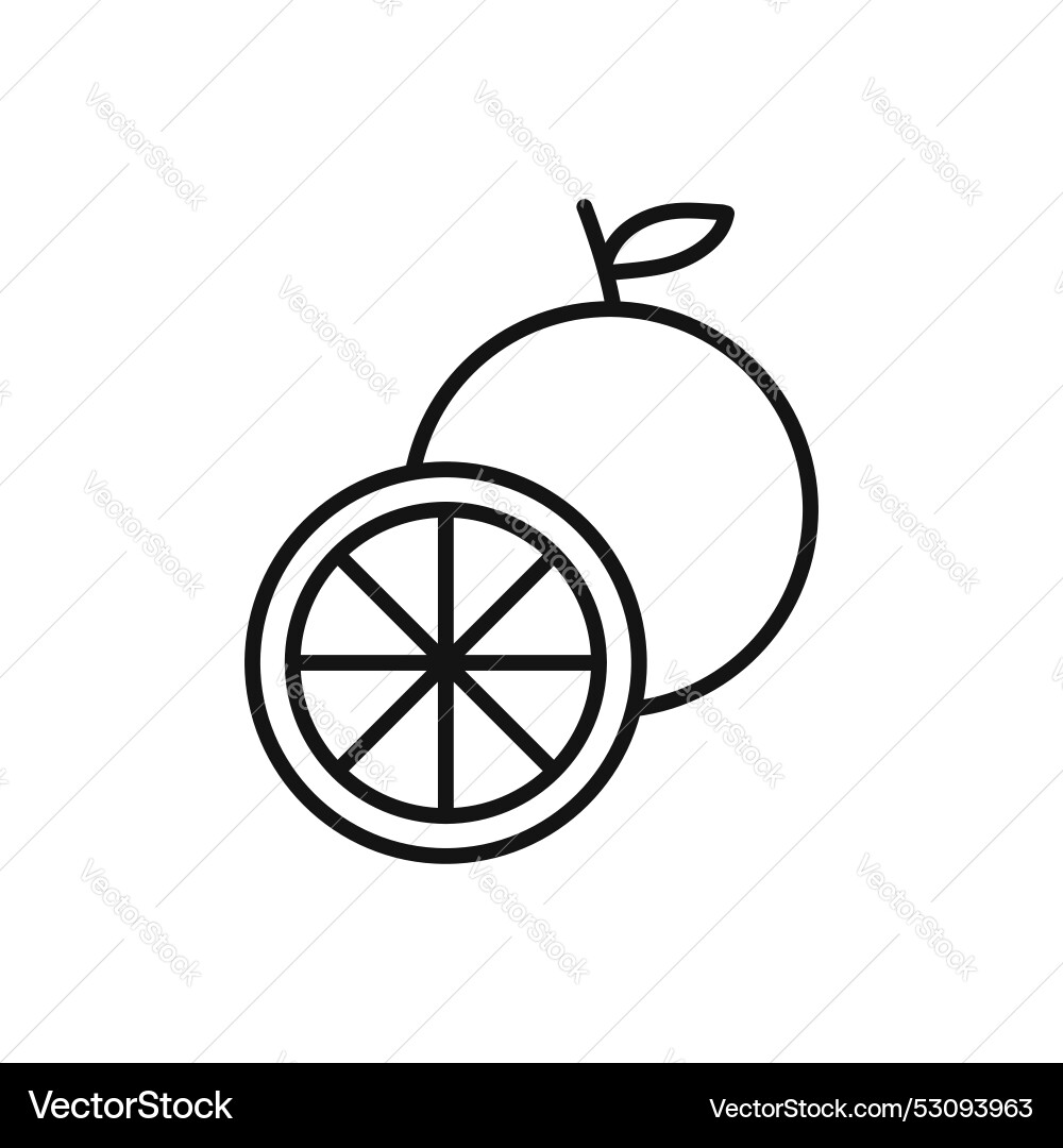 Citrus icon isolated on white background Vector Image