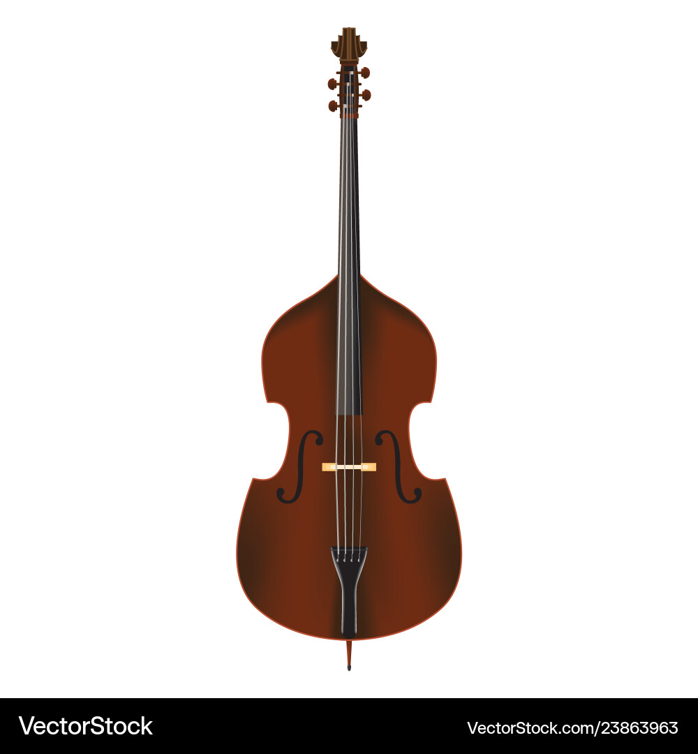 Double bass Royalty Free Vector Image - VectorStock