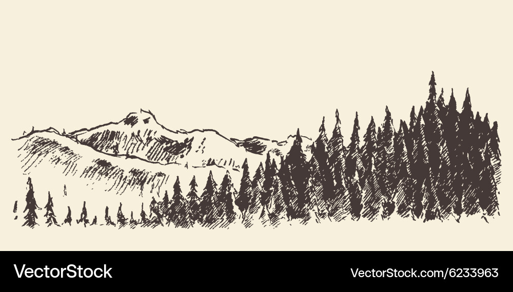 Hand Drawn Fir Forest Landscape Sketch Royalty Free Vector