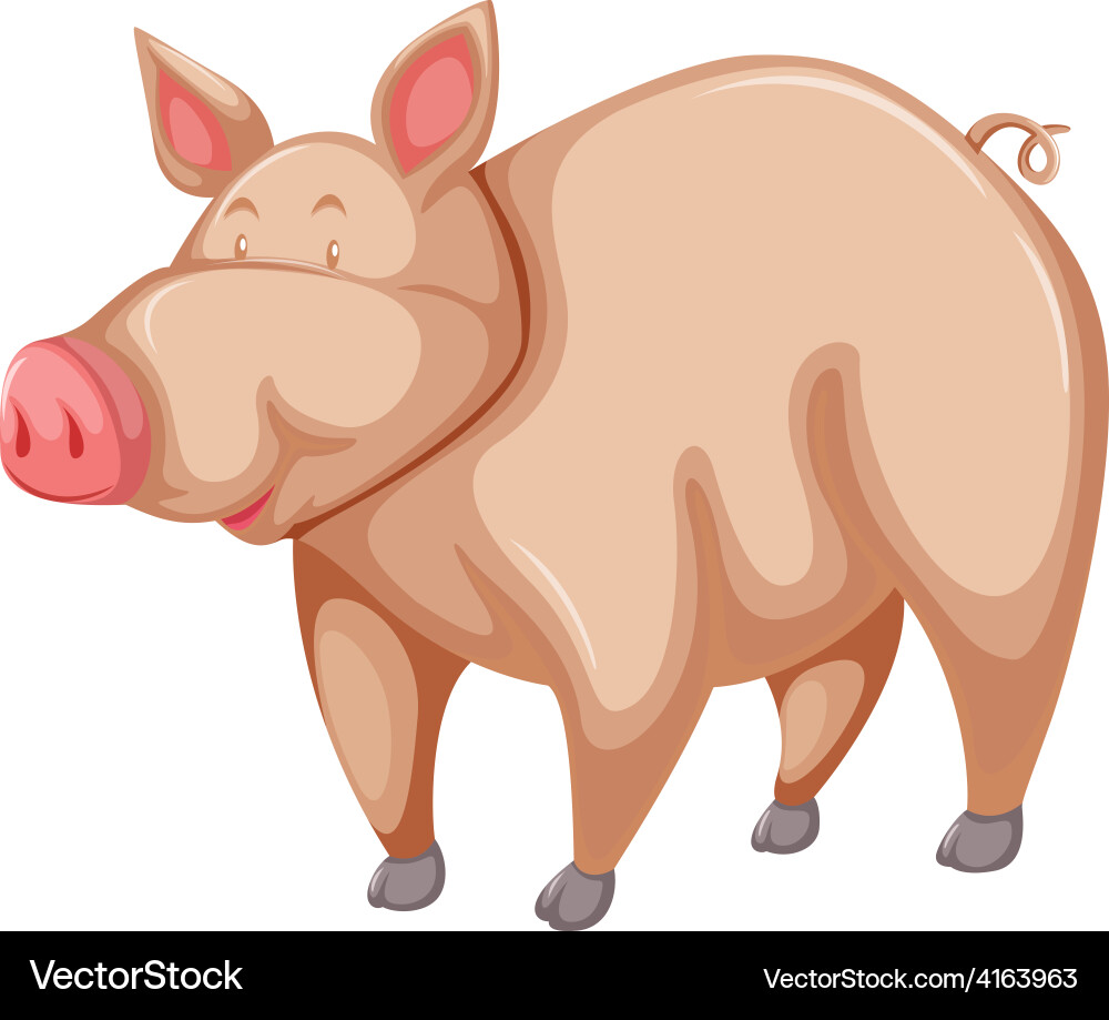 Pink pig Royalty Free Vector Image - VectorStock