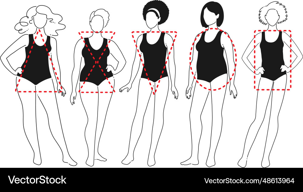 Body-positive female body types Royalty Free Vector Image