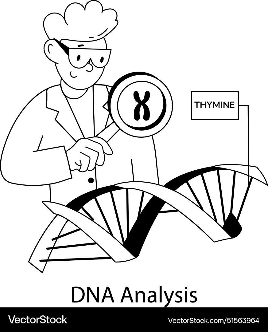 Dna analysis Royalty Free Vector Image - VectorStock