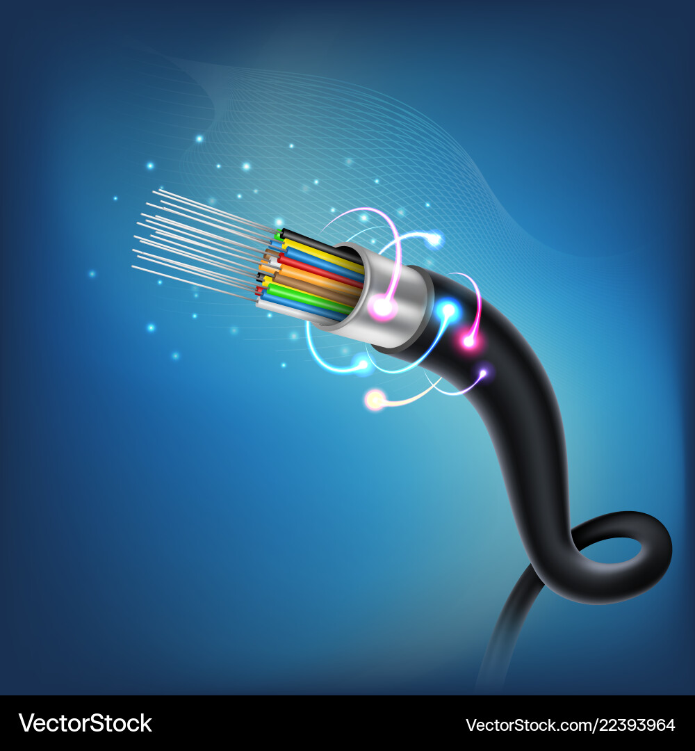 Fiber optic cable Royalty Free Vector Image - VectorStock