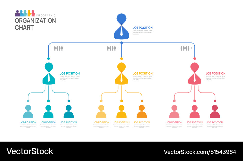 Infographic template for organization chart with Vector Image