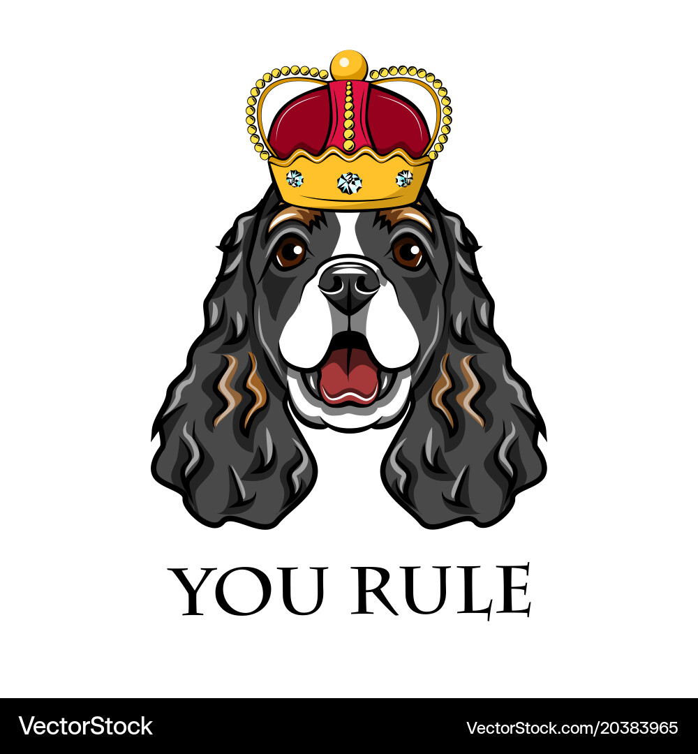 King Cocker Spaniel with Crown Royalty Free Vector Image