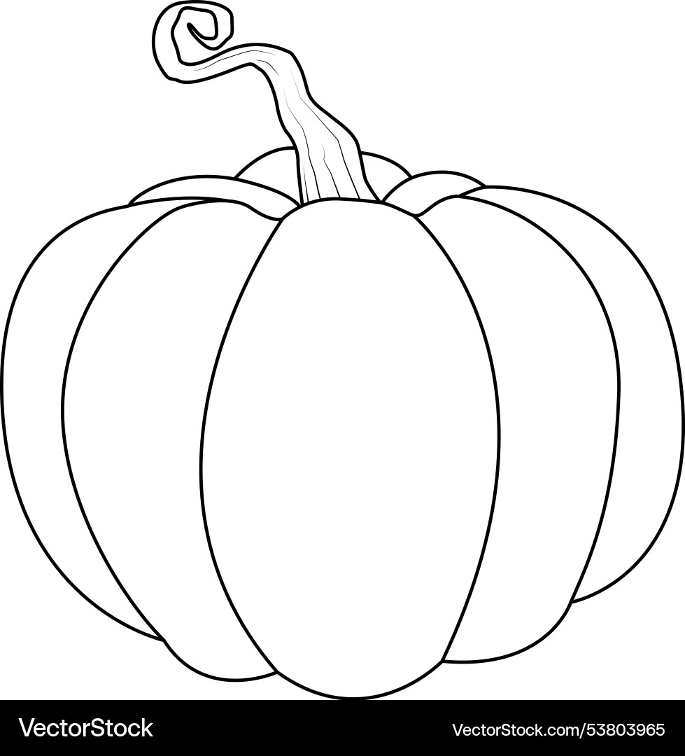 Pumpkin line art Royalty Free Vector Image - VectorStock