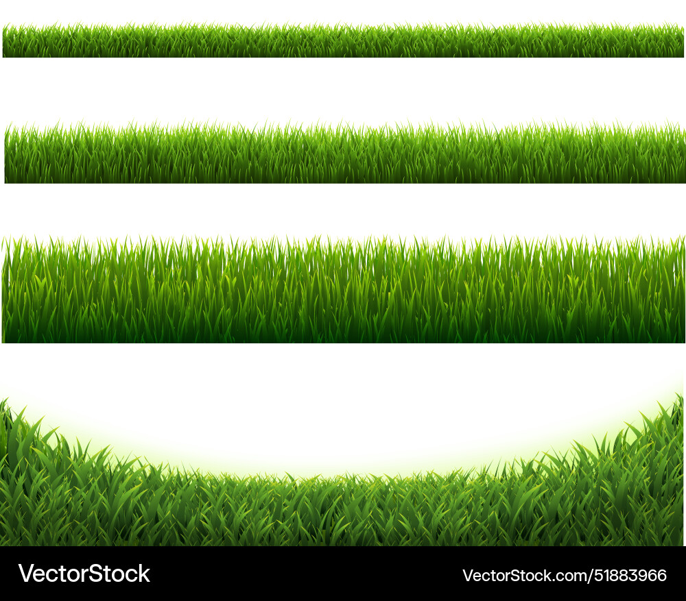 Green grass frame and isolated white background Vector Image