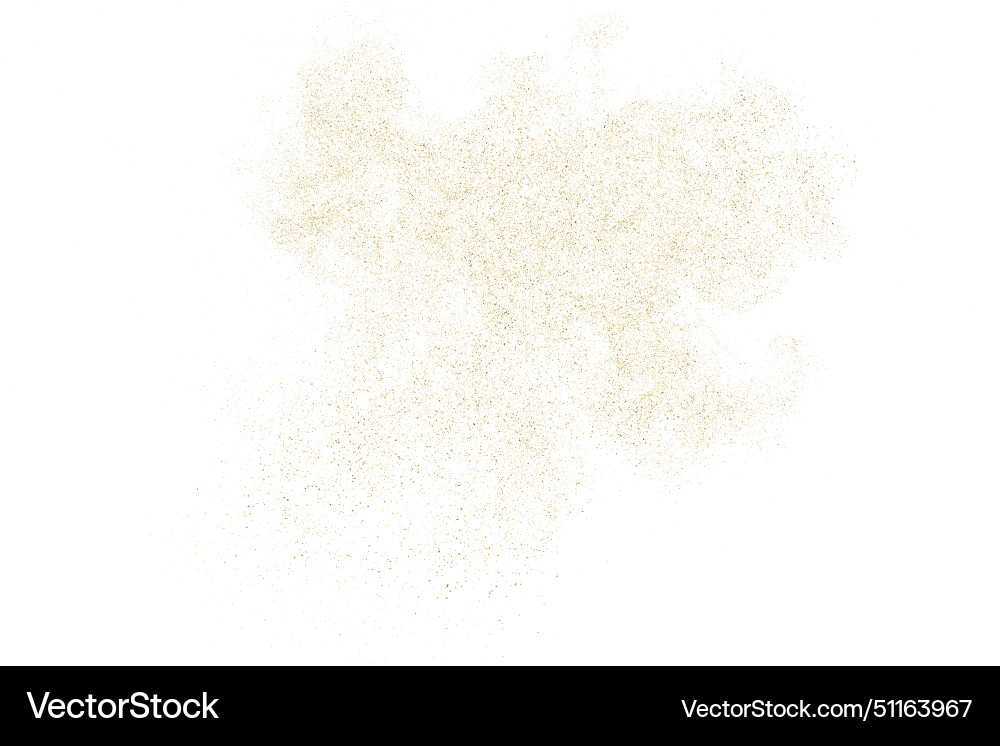 Gold texture pattern on white background Vector Image