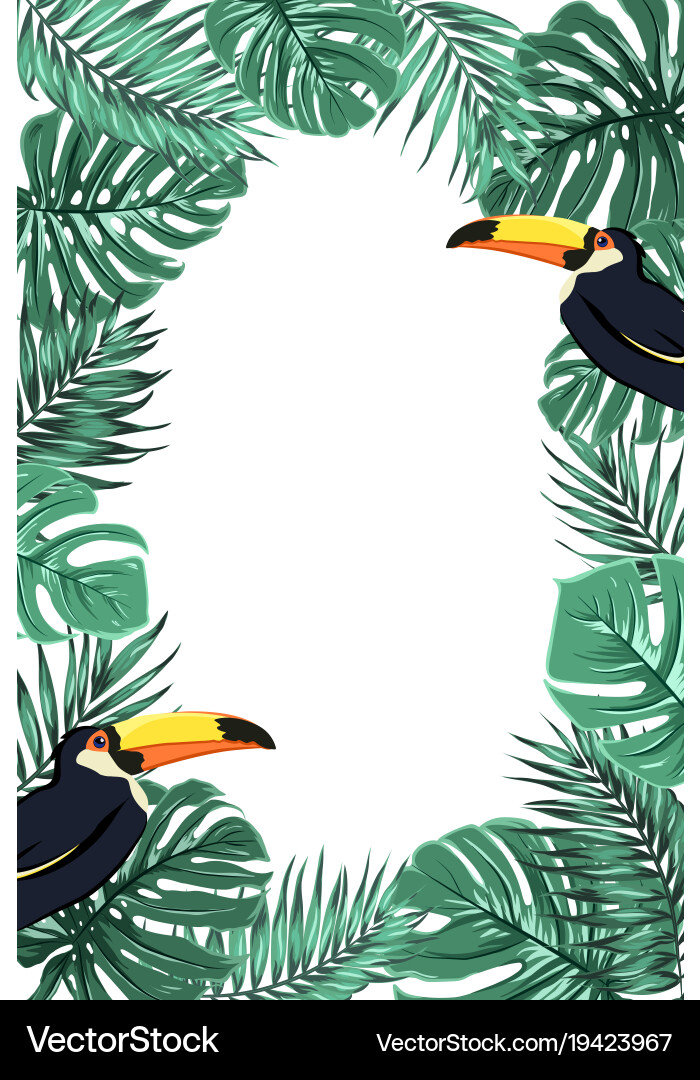 Tropical Toucan Leaf Border Royalty Free Vector Image