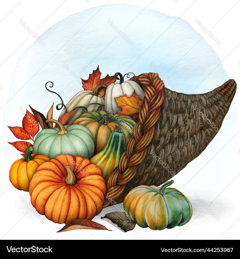 Watercolor fall cornucopia full of pumpkins Vector Image