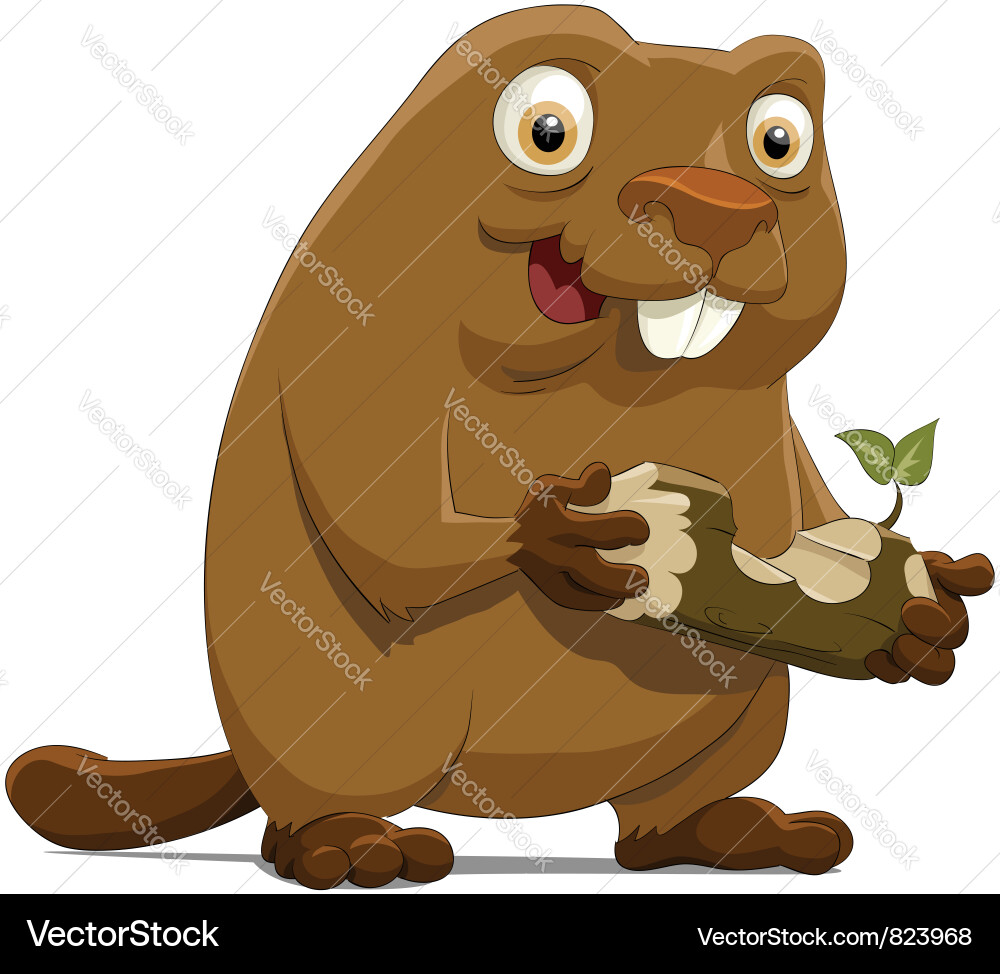 Beaver Royalty Free Vector Image - VectorStock