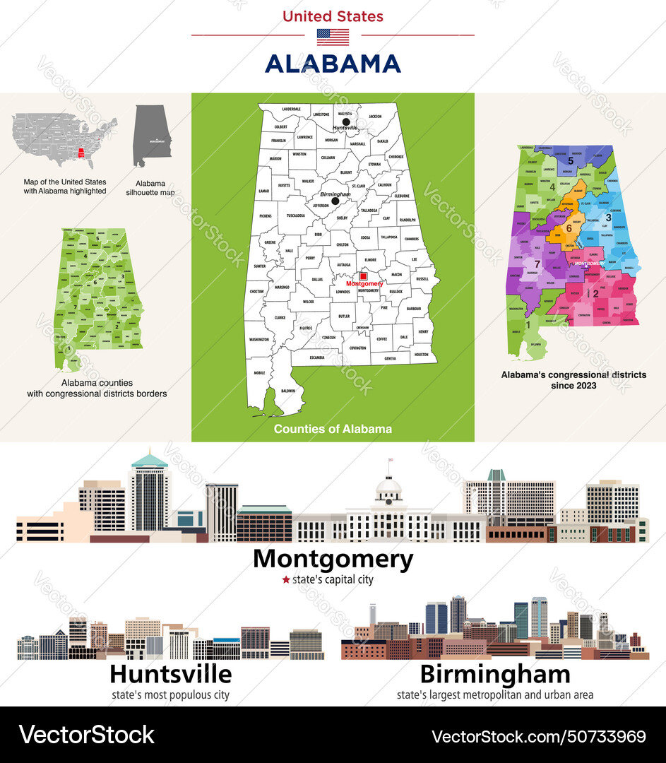 Alabamas counties map and congressional districts Vector Image
