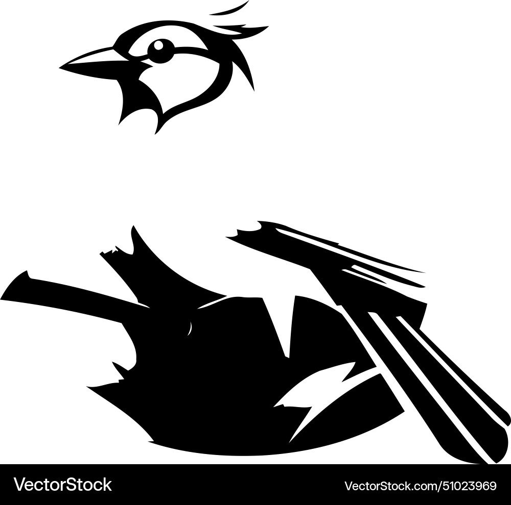 Blue jay bird isolated on white background Vector Image