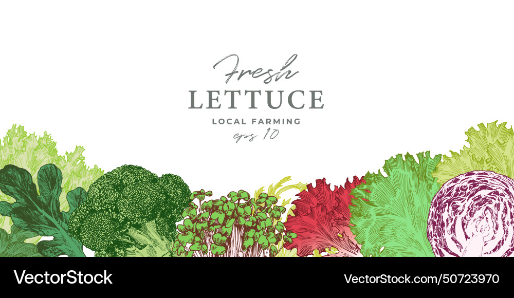 Lettuce frame border template Royalty Free Vector Image