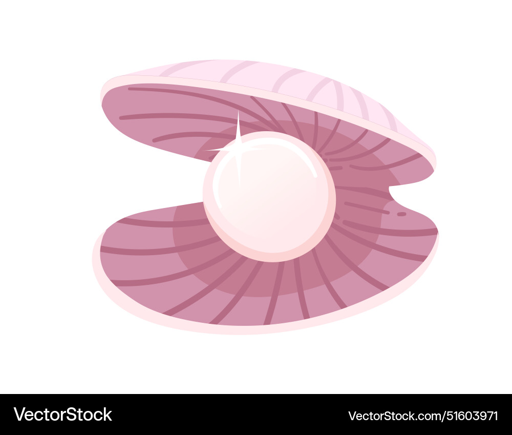 Opened pink clam with pearl inside seashell Vector Image