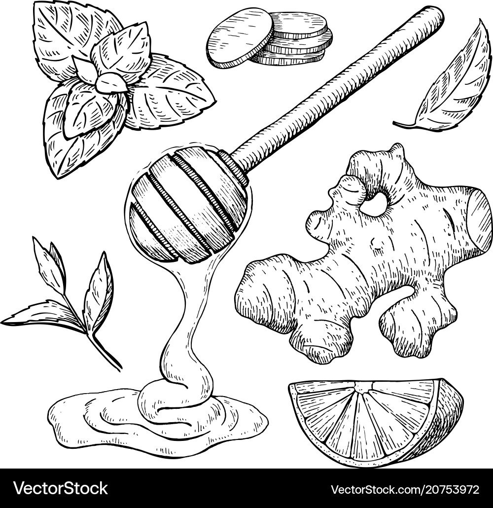 Ginger Jar Vector Images (over 580)