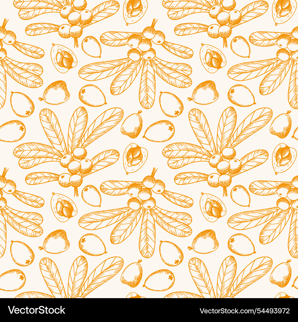 Loquat plant hand drawn seamless pattern Vector Image