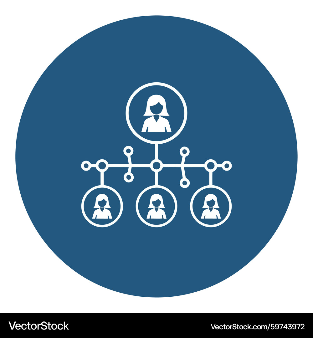 Team Hierarchy Structure Diagram – Royalty-Free Vector | VectorStock