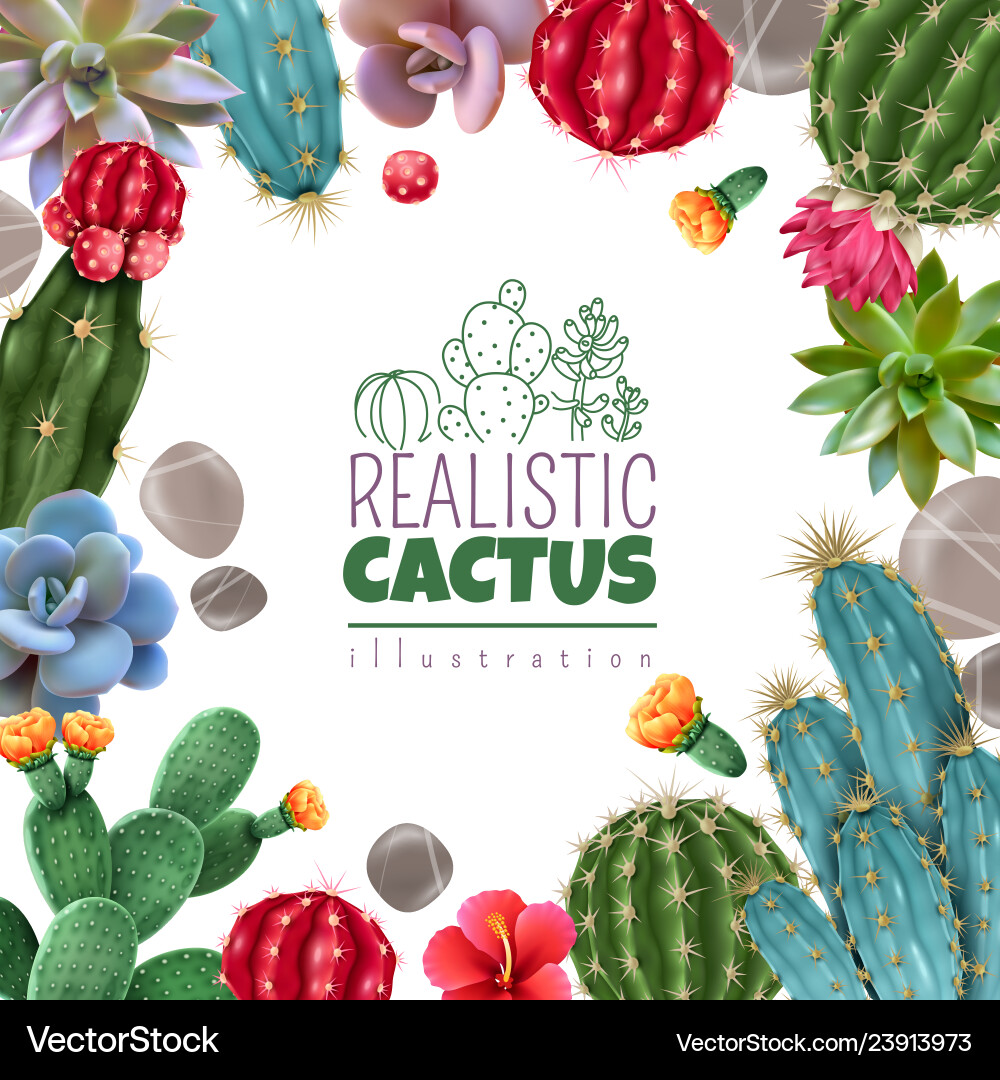 Cactus succulents realistic frame Royalty Free Vector Image