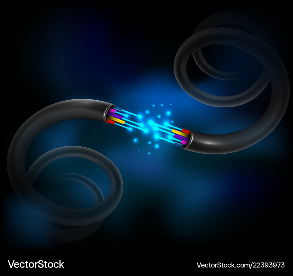 Fiber optic cable Royalty Free Vector Image - VectorStock