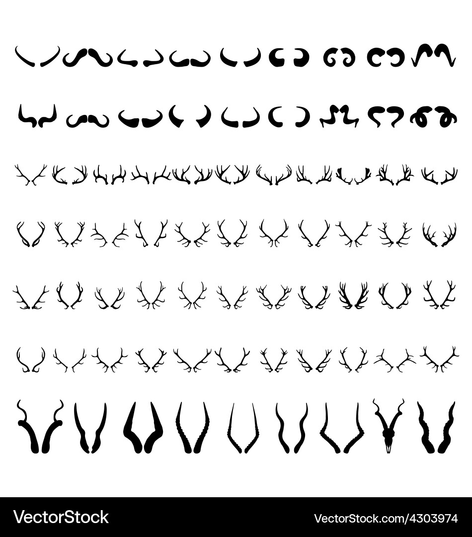 Horns Royalty Free Vector Image - VectorStock