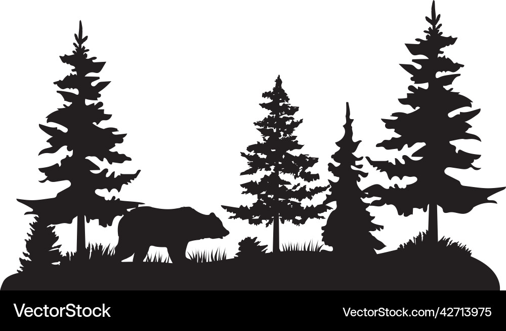 Bear in the pine forest Royalty Free Vector Image