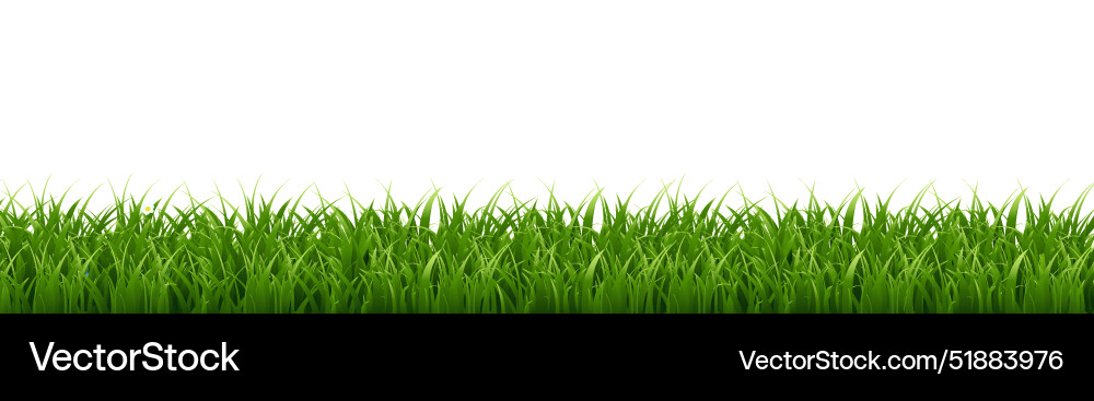 Green grass frame isolated white background Vector Image