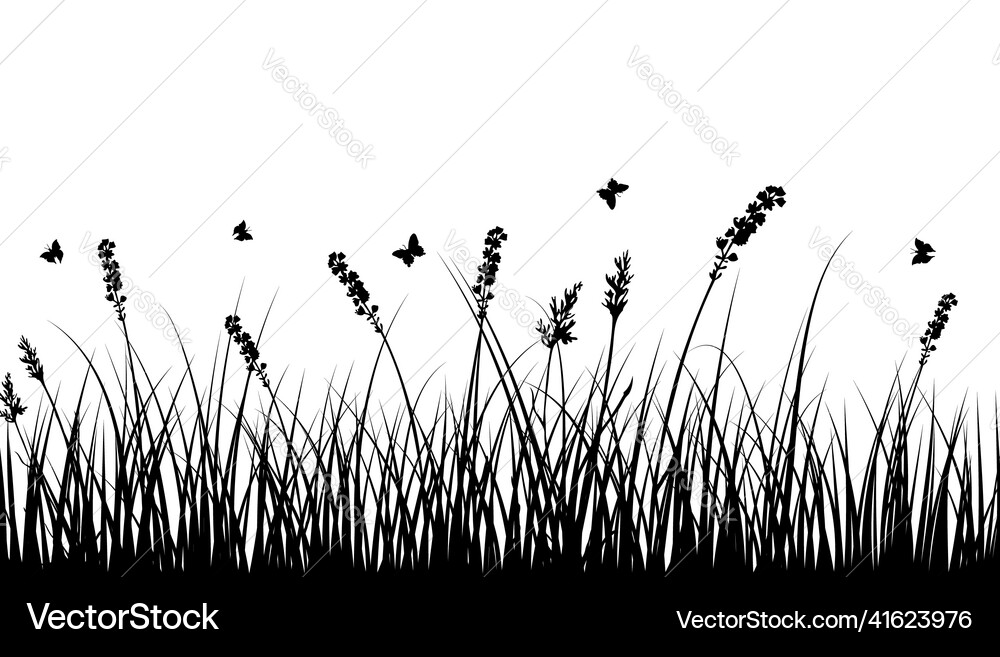 Green grass meadow Royalty Free Vector Image - VectorStock