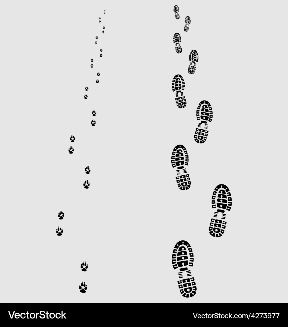 Footprints 2 Royalty Free Vector Image - VectorStock