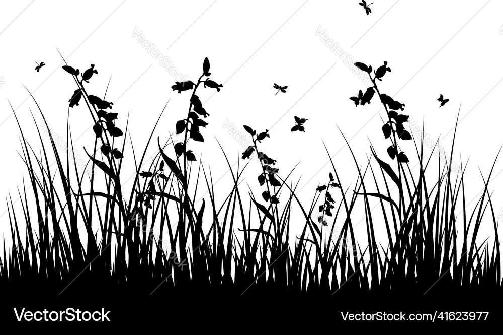 Green grass meadow Royalty Free Vector Image - VectorStock
