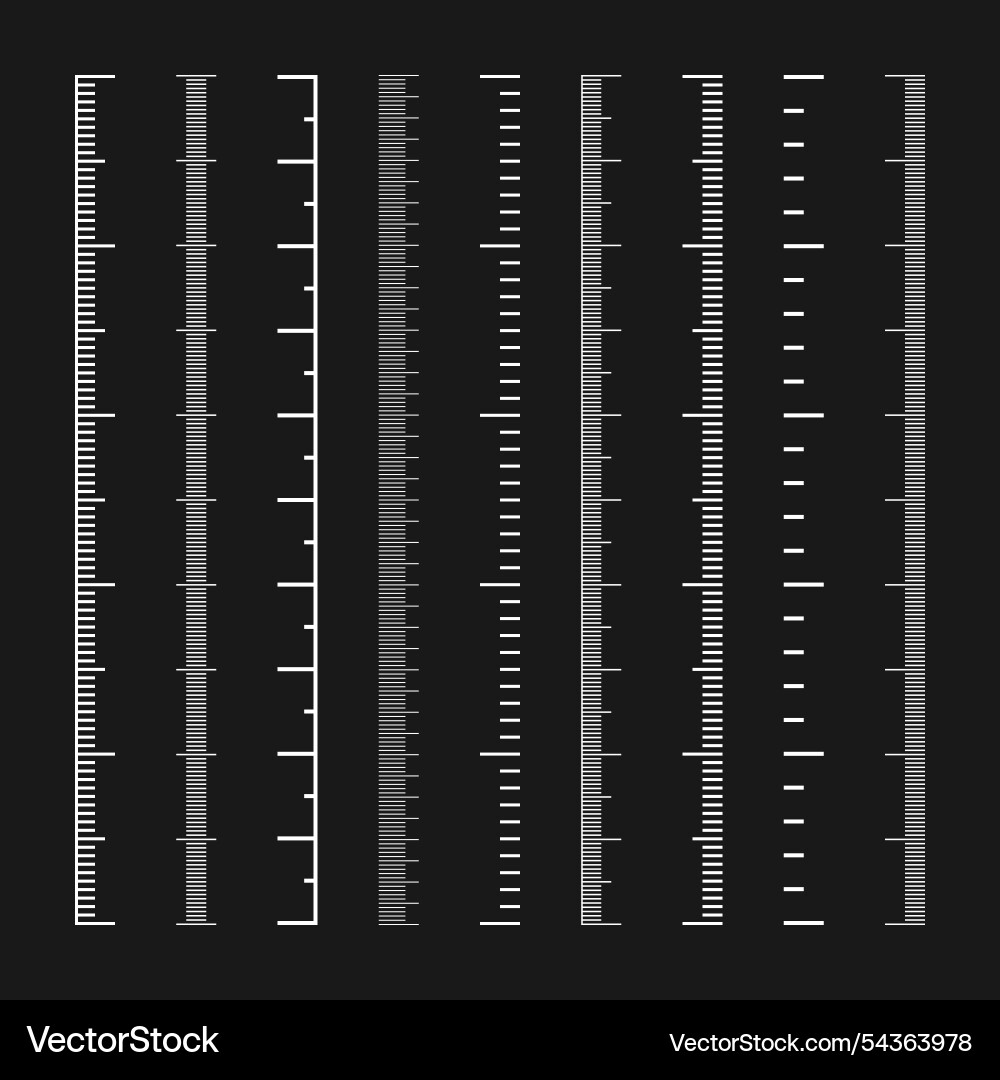 Vertical measurement scales with divisions Vector Image