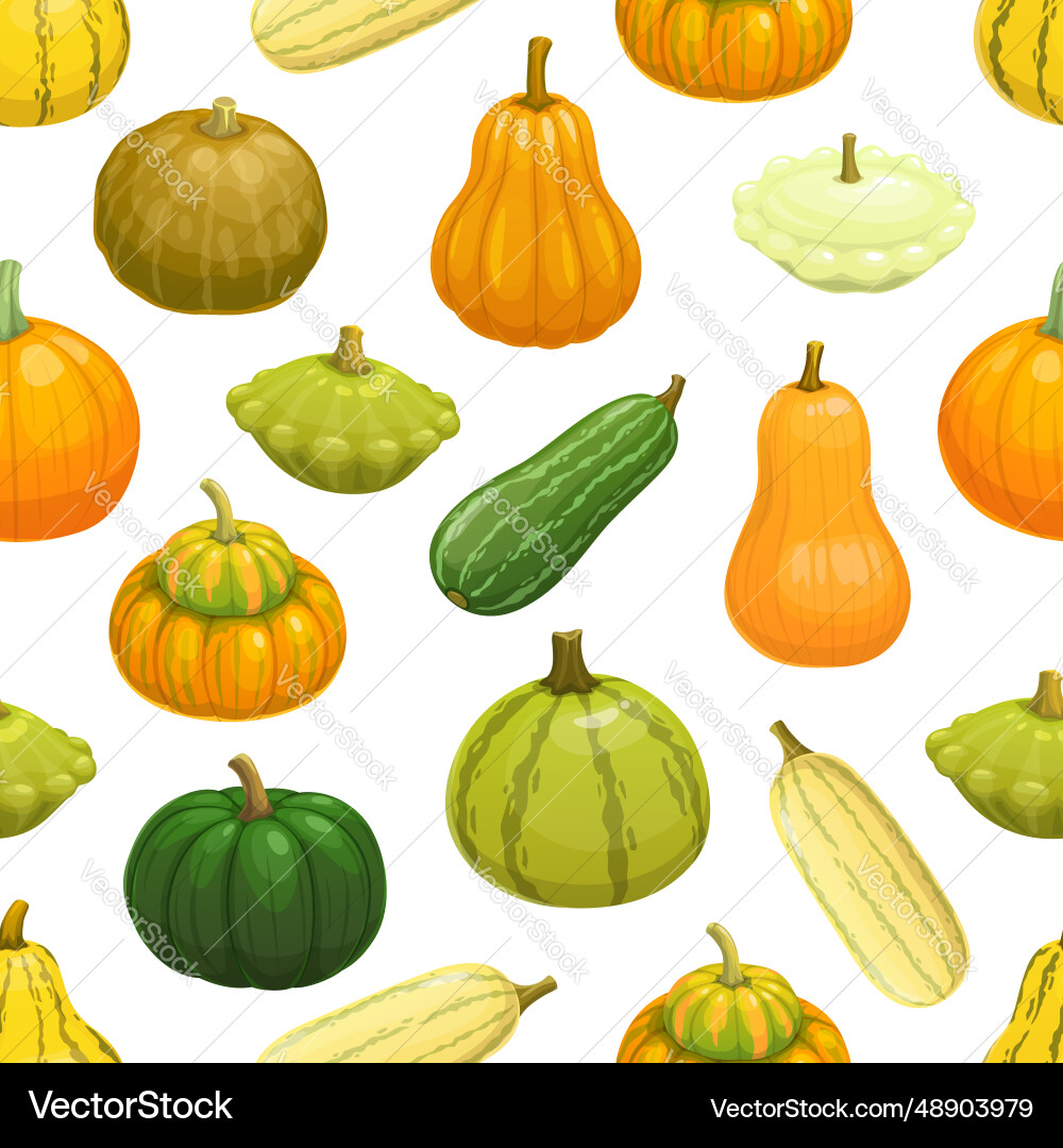 Raw zucchini pumpkin squash butternut pattern Vector Image
