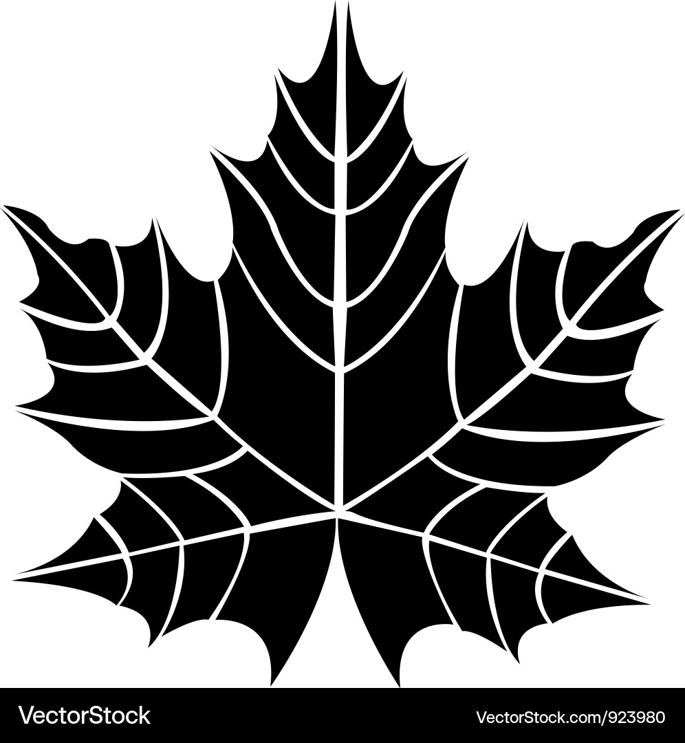 Leaf Royalty Free Vector Image - VectorStock