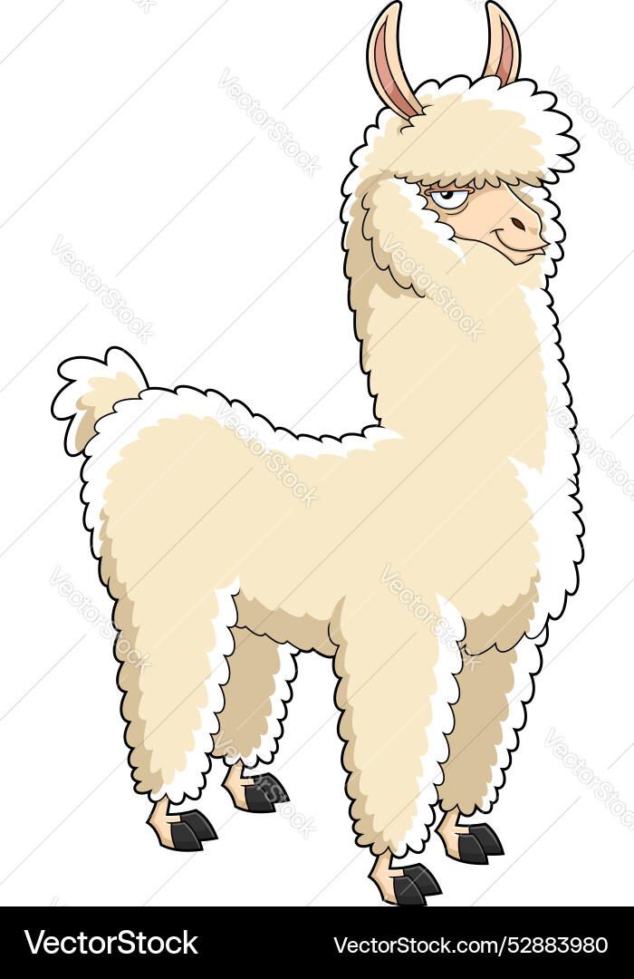 Llama animal cartoon character Royalty Free Vector Image