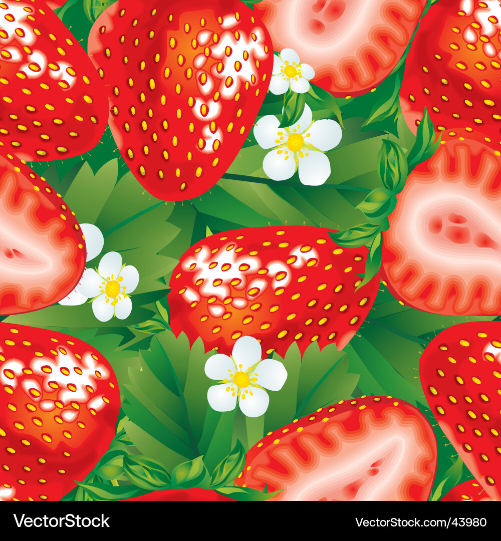 Strawberry seamless Royalty Free Vector Image - VectorStock