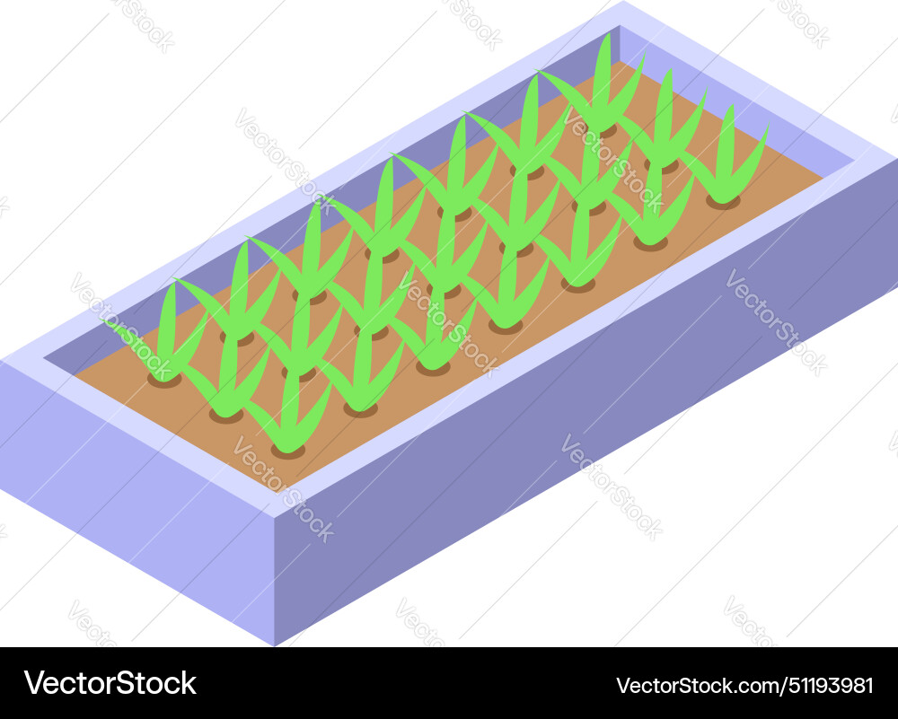 Balcony gardening box icon isometric Royalty Free Vector