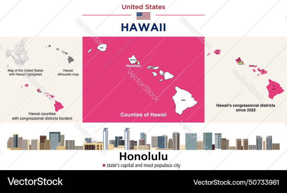 Hawaii counties map and congressional districts Vector Image
